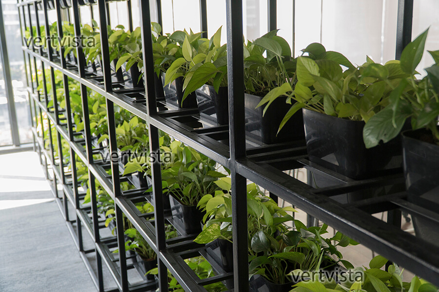 Indoor Vertical Gardens, Indoor Living Green Wall Experts