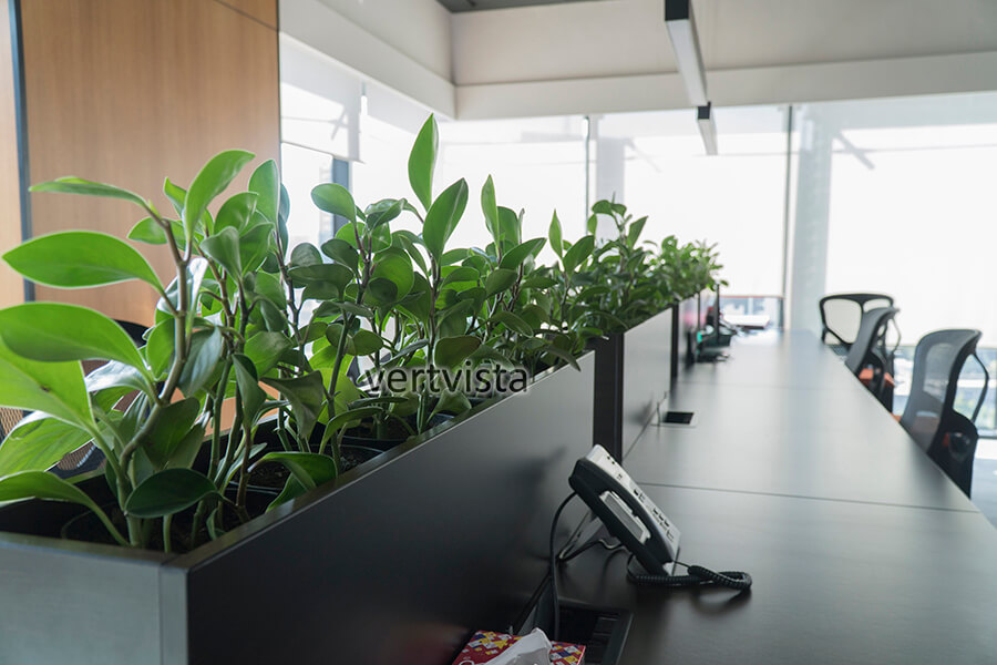 Indoor Vertical Gardens, Indoor Living Green Wall Experts