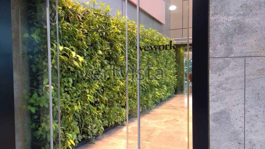 Indoor Vertical Gardens, Indoor Living Green Wall Experts