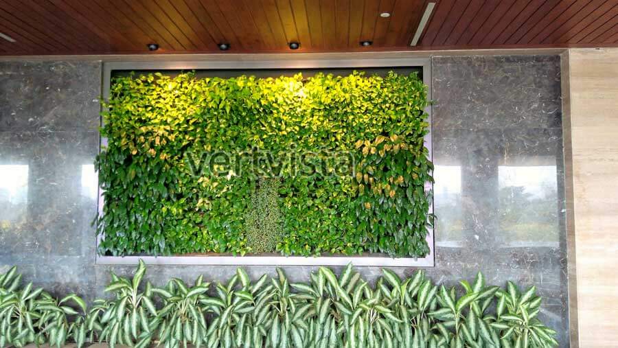 Indoor Vertical Gardens, Indoor Living Green Wall Experts