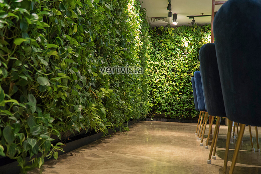 Indoor Vertical Gardens, Indoor Living Green Wall Experts