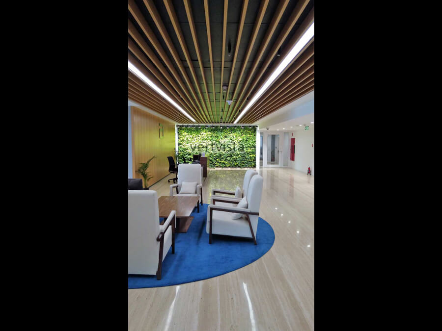 Indoor Vertical Gardens, Indoor Living Green Wall Experts